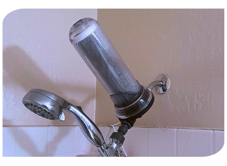 SENTRY SHOWER FILTER