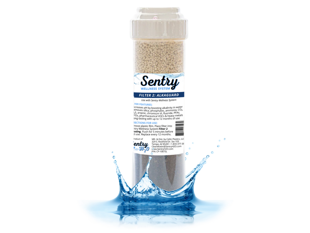 Sentry H2O Wellness System | Sentry Water Filters