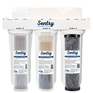 Sentry H2O Wellness System | Sentry Water Filters
