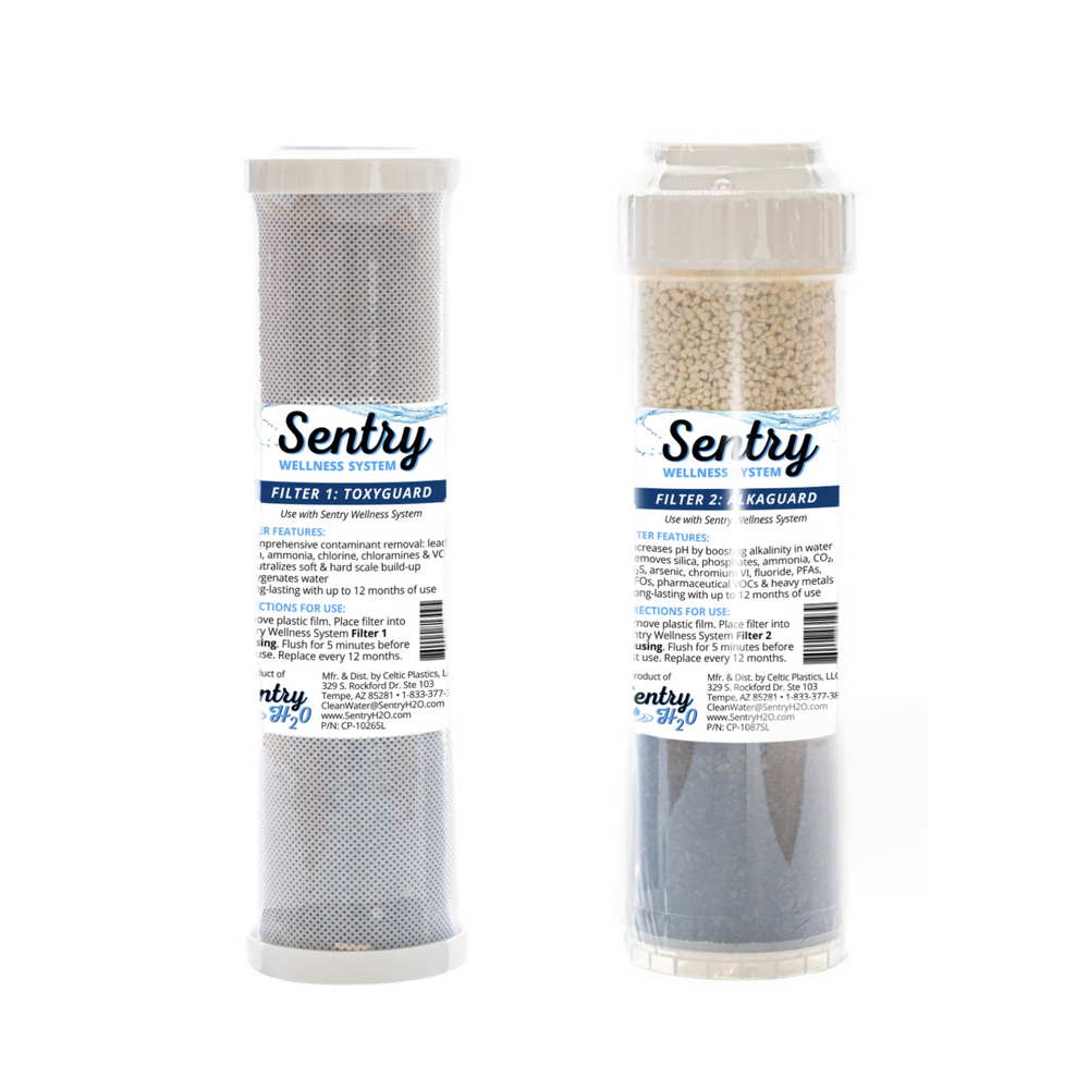 Sentry H20 Water Filter